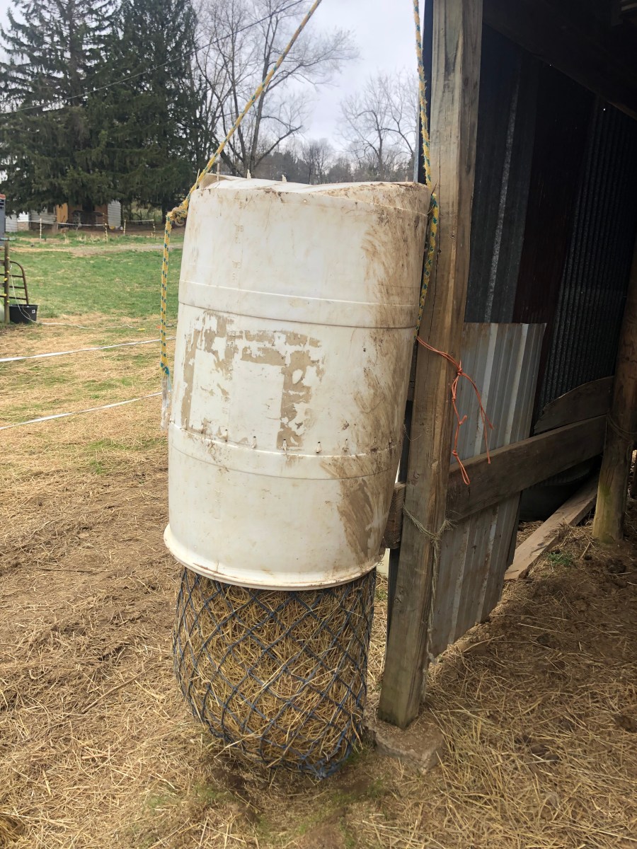 My Hay Barrels | Blue Ridge Pony