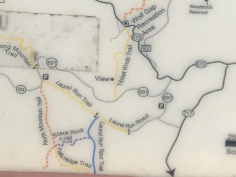 Trail Report: Laurel Run left hand loop 6/14/2020 | Blue Ridge Pony